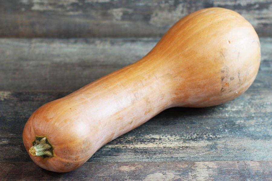 Courge Longue de Nice Bio